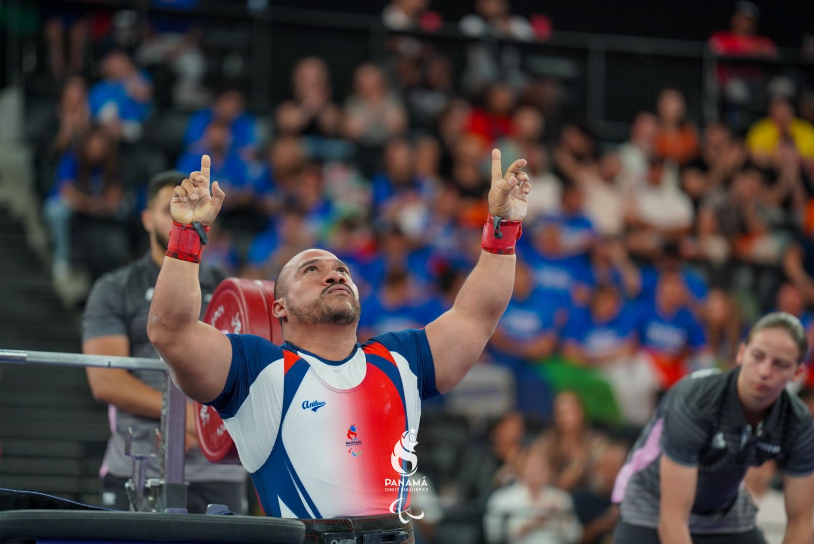 Home - Pluma Informativa